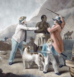 Human Capital & the Slave Trade